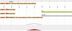 FlyBase:JBrowse Tracks - FlyBase Wiki